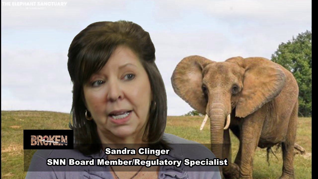 Broken Trailer - YouTube