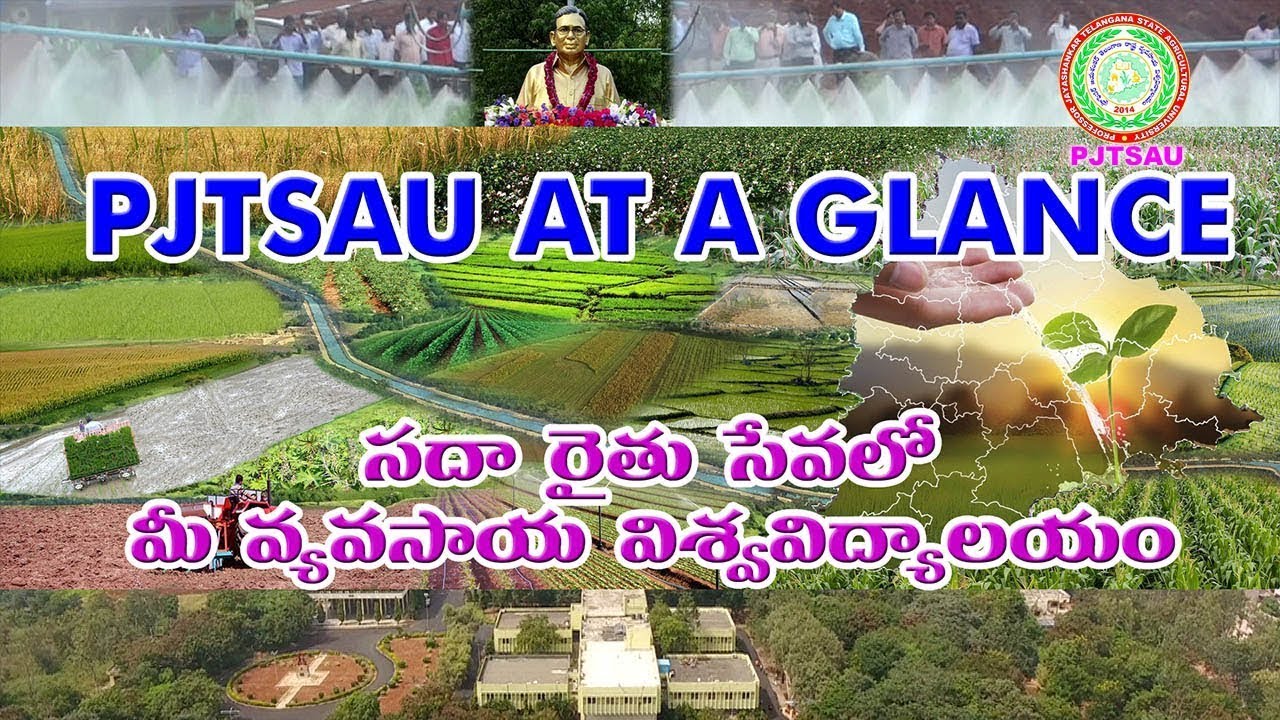 PJTSAU AT A GLANCE - 2020 ll PJTSAU ll - YouTube