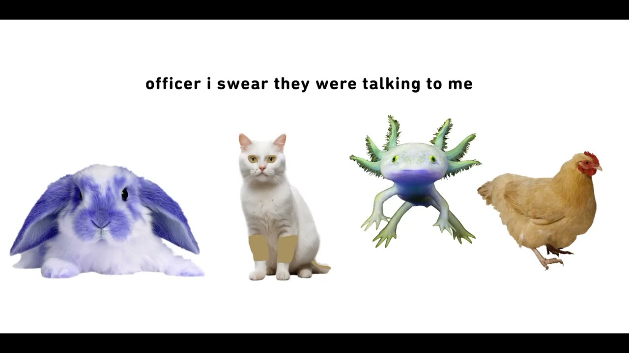 officer i swear they were talking to me - YouTube
