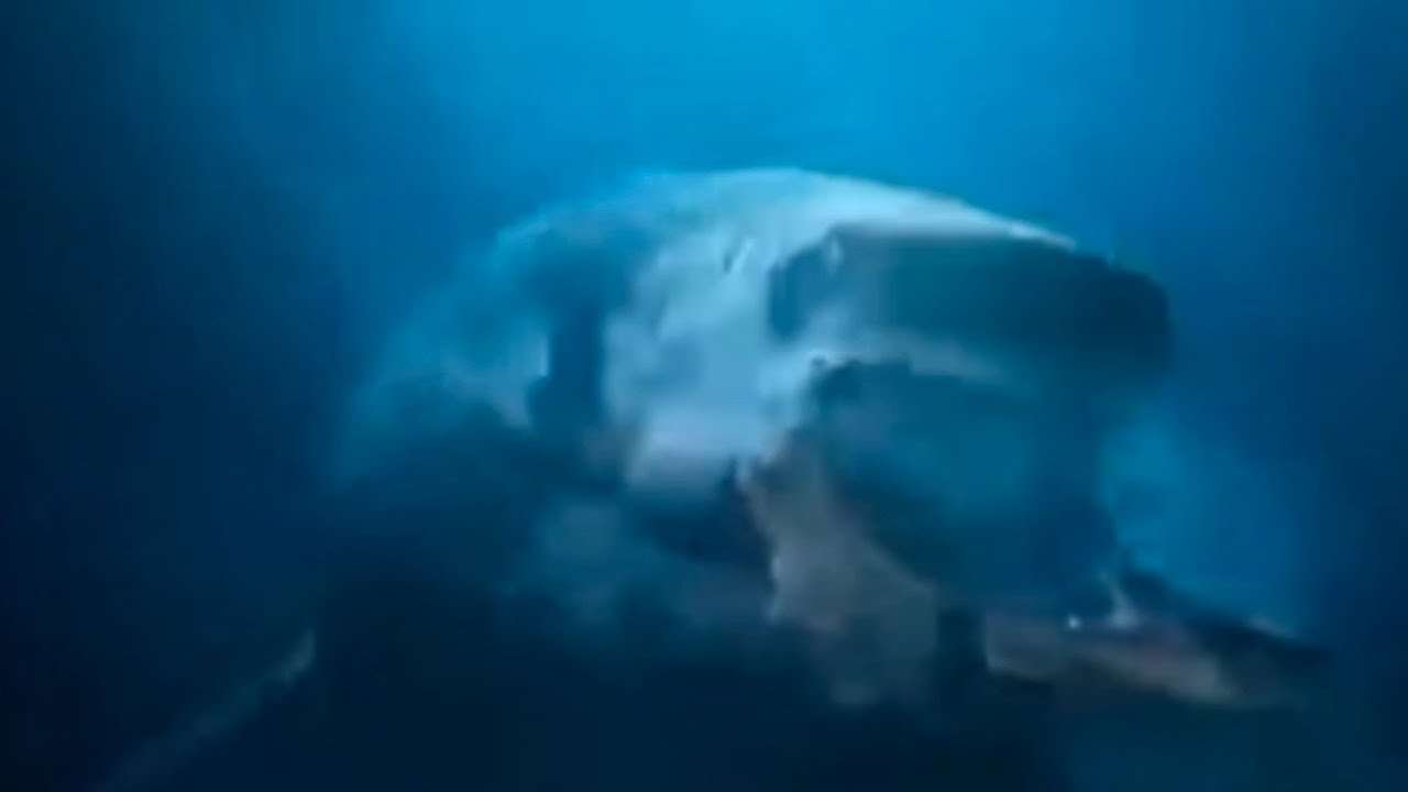 The meg eats megalodon scene - YouTube