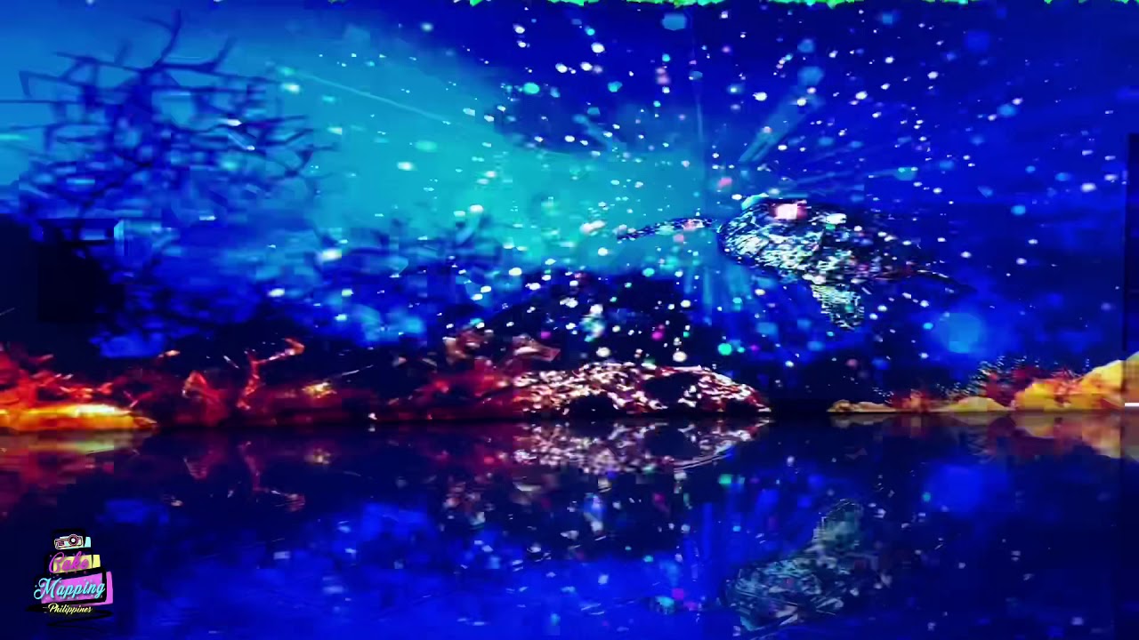 Aquarium Projection Mapping - YouTube