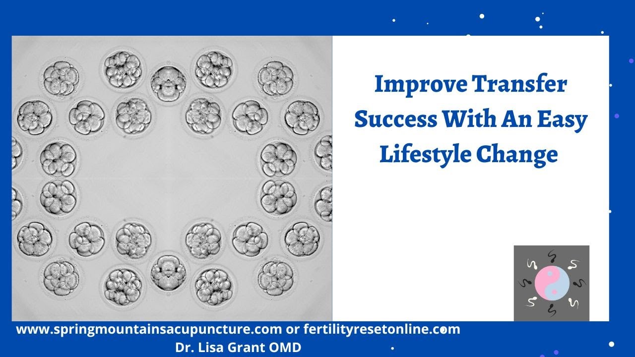 Improve IVF Transfer Success With An Easy Lifestyle Change (Works If ...