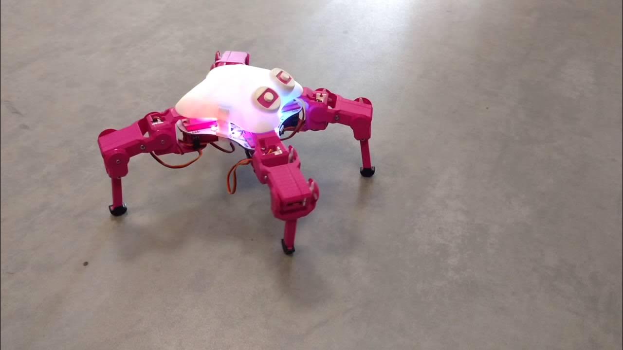 Quadruped Robot walking algorithm success - YouTube