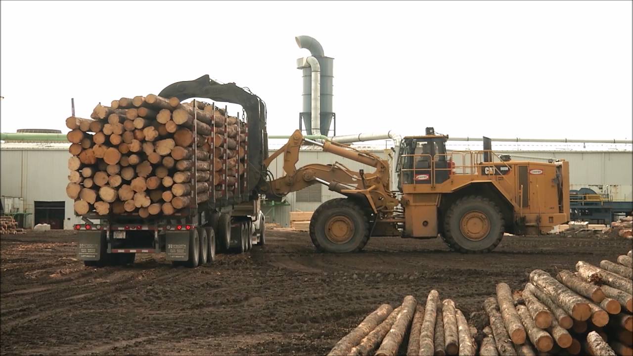 CANFOR Grande Prairie Log Yard Orientation Video June15 2016 LIMS High ...