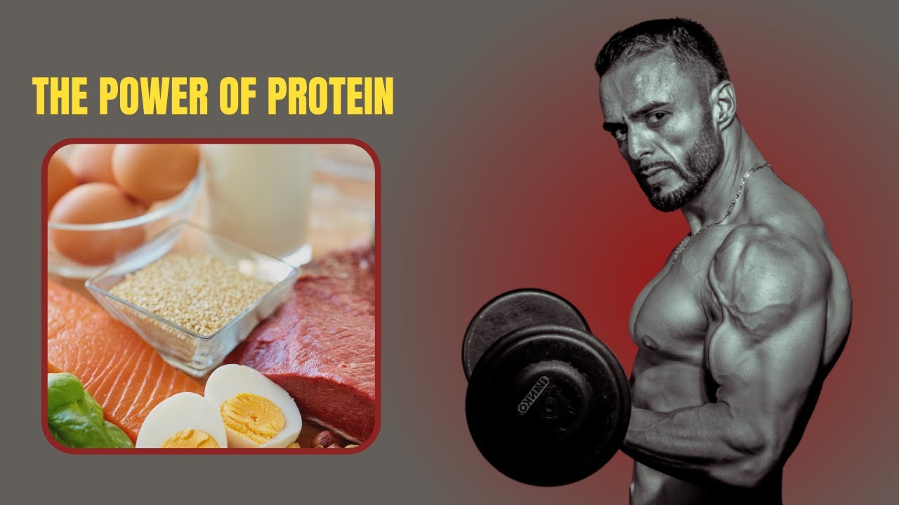 The POWER Of Protein In Building Strong Muscles - YouTube