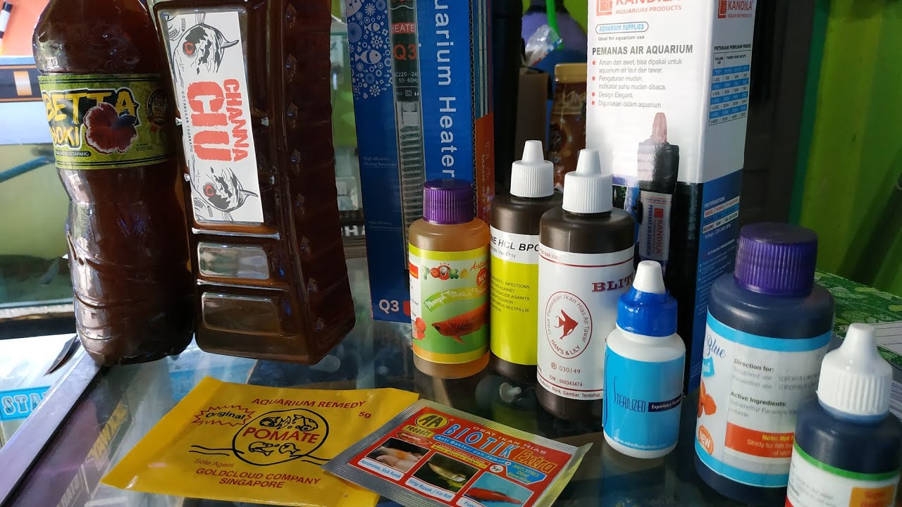 Catat !!! OBAT OBATAN UNTUK CHANNA MU YANG SEBAIKNYA ADA - YouTube