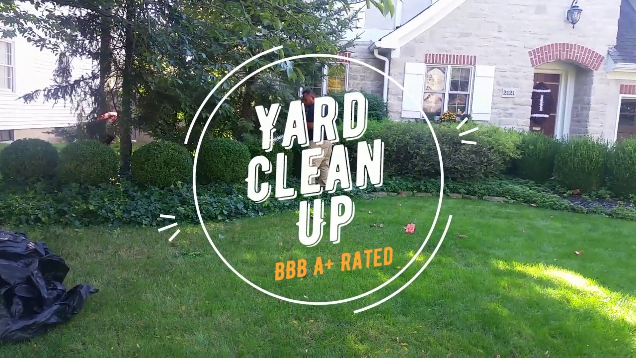 Yard Clean Up Video from Year Round Landscaping, Inc. www ...
