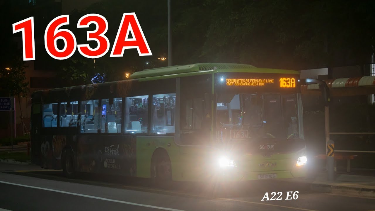SG1770S - SBS Bus Service 163A [MAN NL323F (Euro VI)] - YouTube