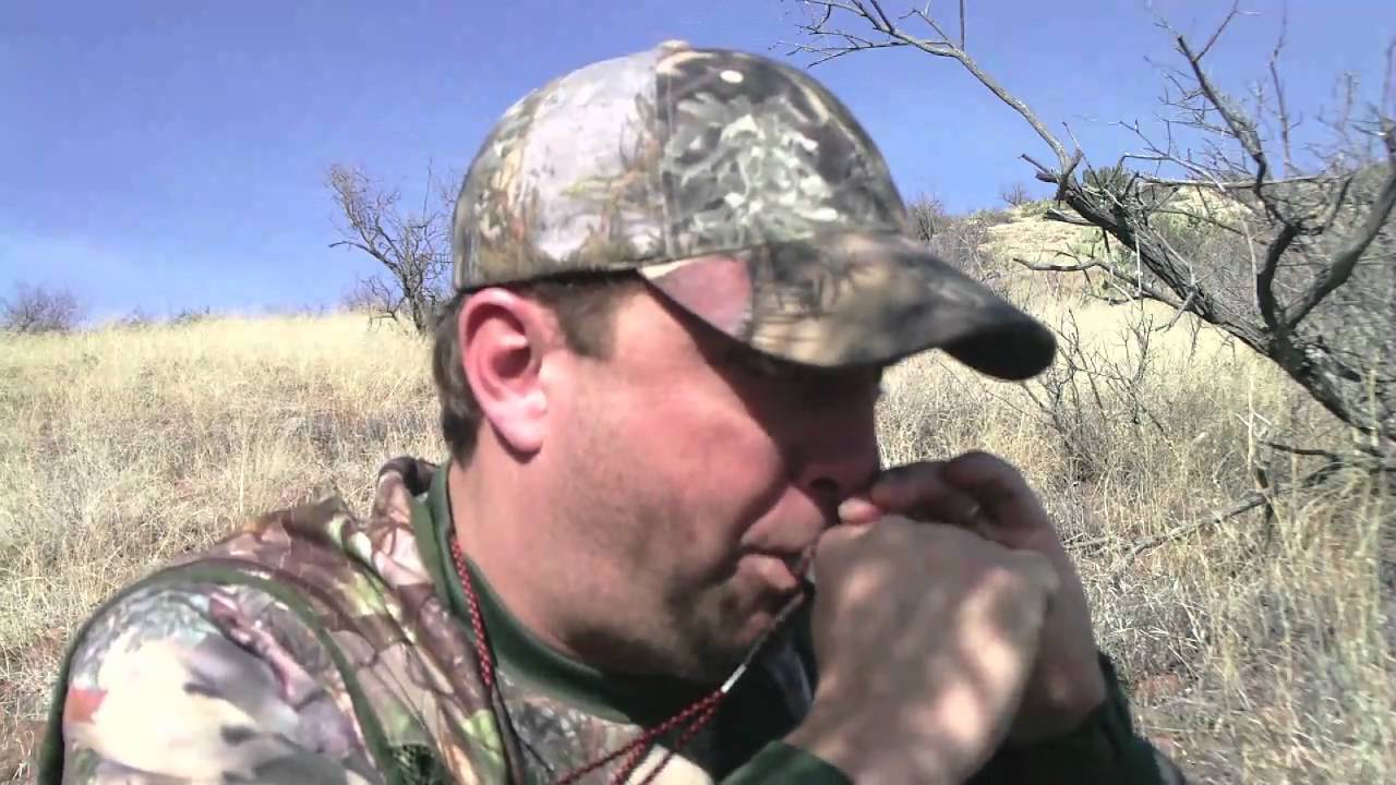 Ruffy Dog Call-1/1 - YouTube