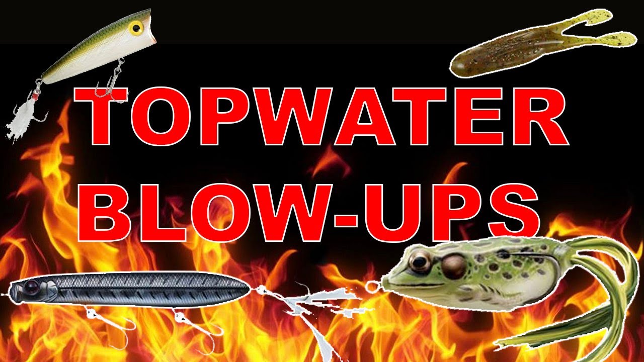 **CRAZY BASS TOPWATER BLOWUPS**COMPILATION** - YouTube