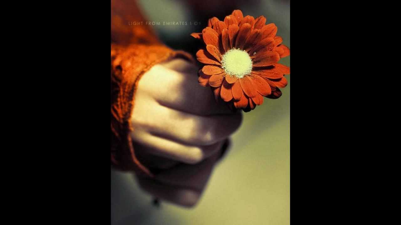 Zoé Labios Rotos Con Letra - YouTube