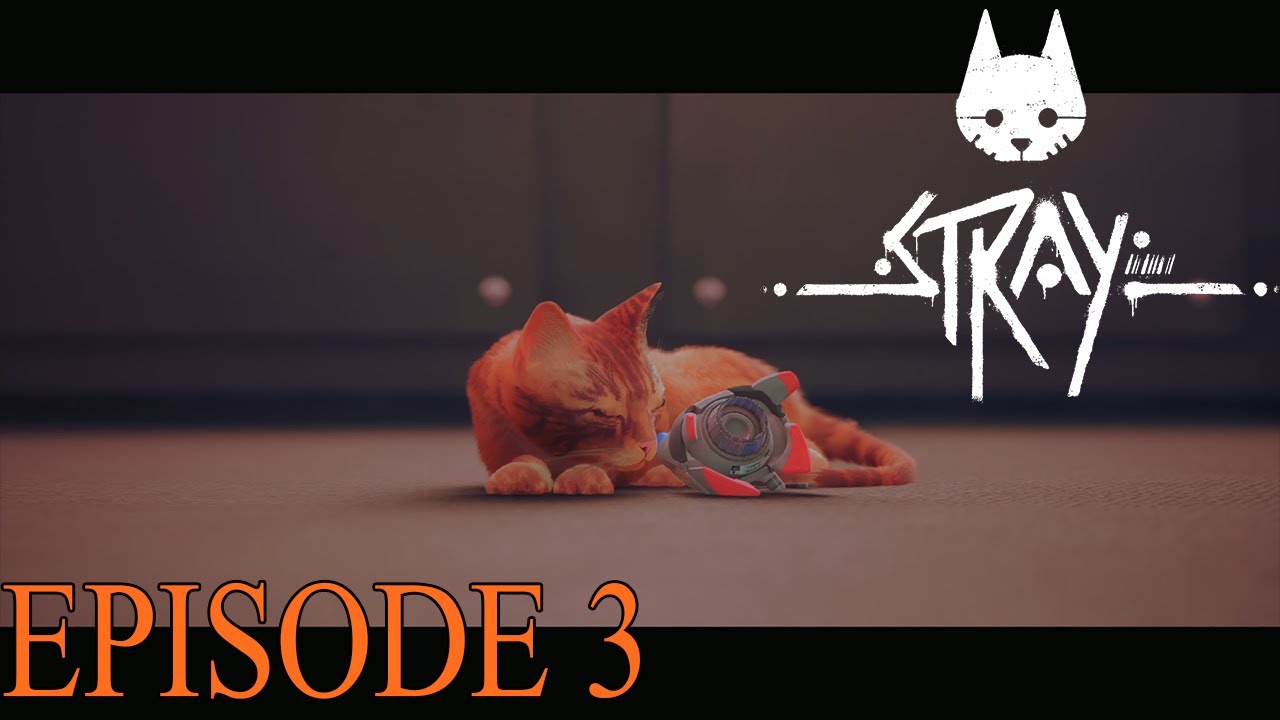 We Did It, Little Buddy! | Stray - Episode 3 (END) - YouTube
