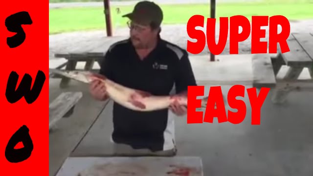 Cleaning A Gar - YouTube