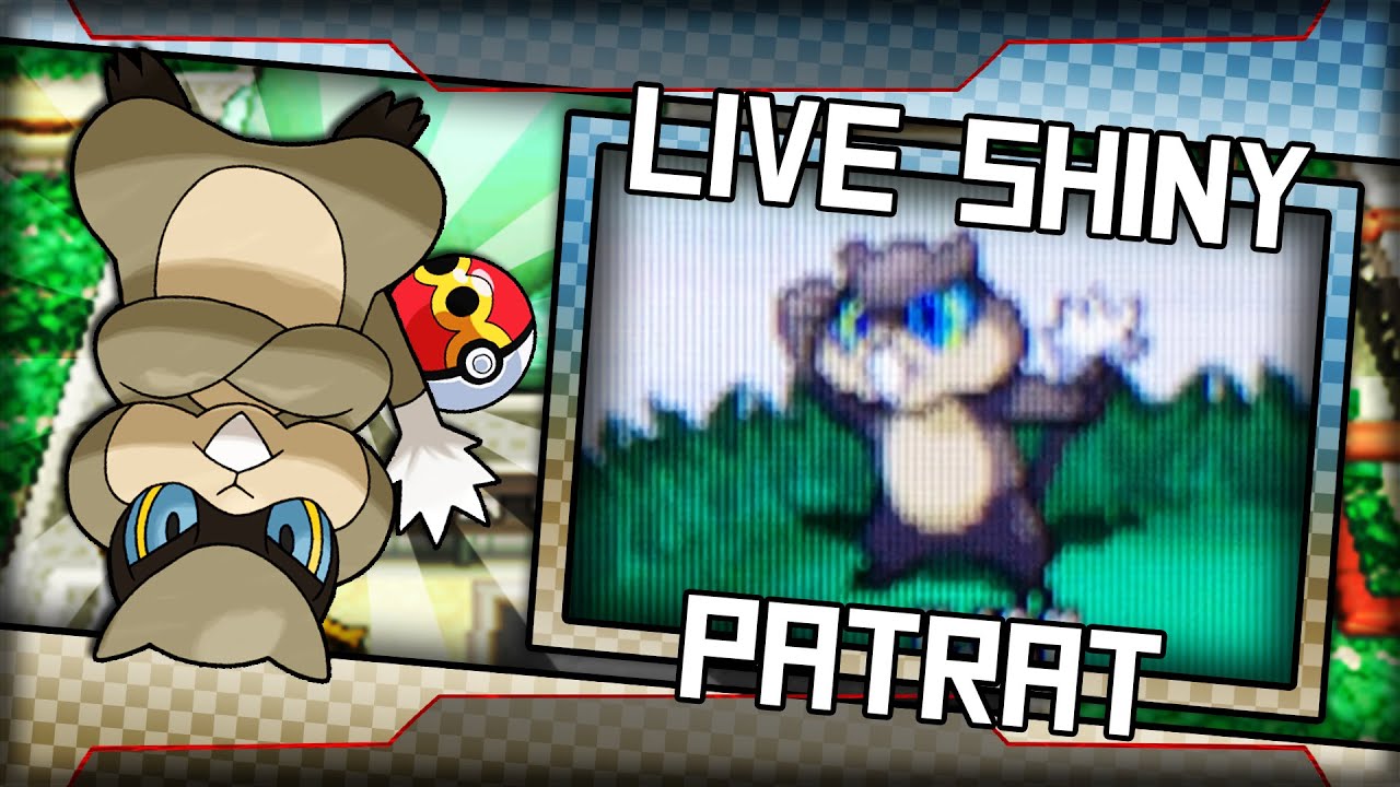 [LIVE!] 4th Shiny Patrat after 4,679 Encounters! [Black 2 #2] - YouTube