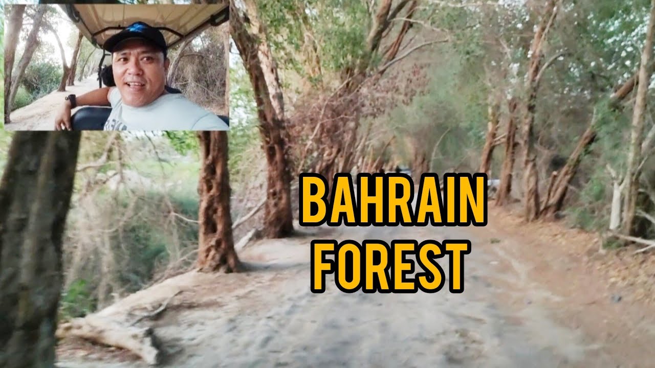 bahrain forest - YouTube
