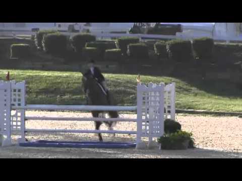 Video of WHOOPS ridden by LUCY MATZ from ShowNet! - YouTube