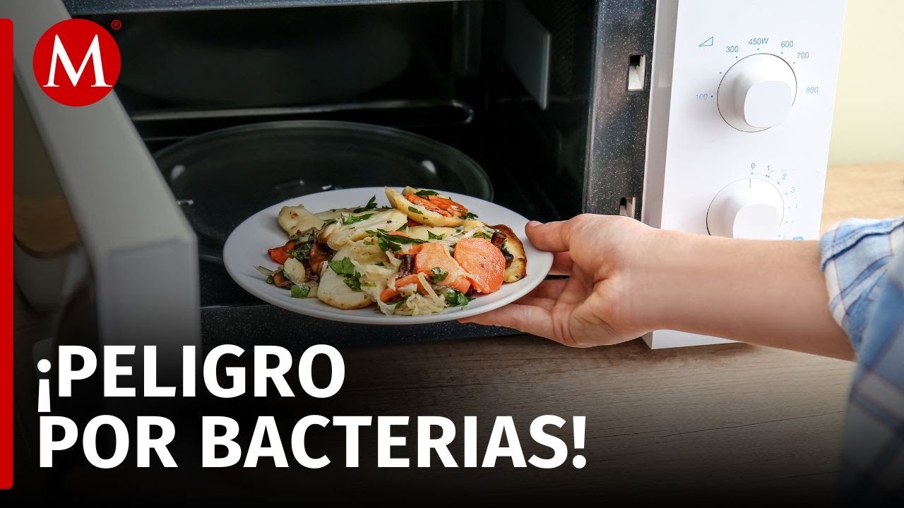 Descubren 747 tipos de bacterias en microondas domésticos y de ...