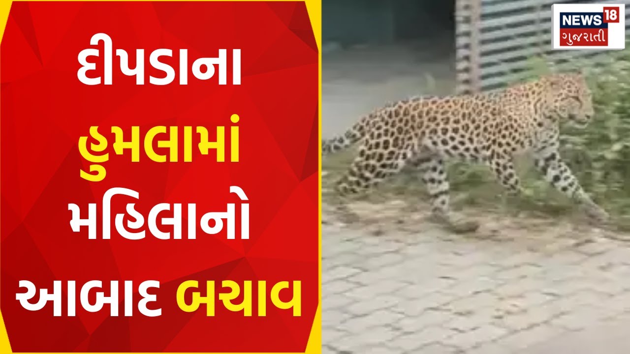 Mahisagar News: દીપડાએ હુમલો કરતાં મહિલા ગંભીર રીતે ઘાયલ | Leopard ...