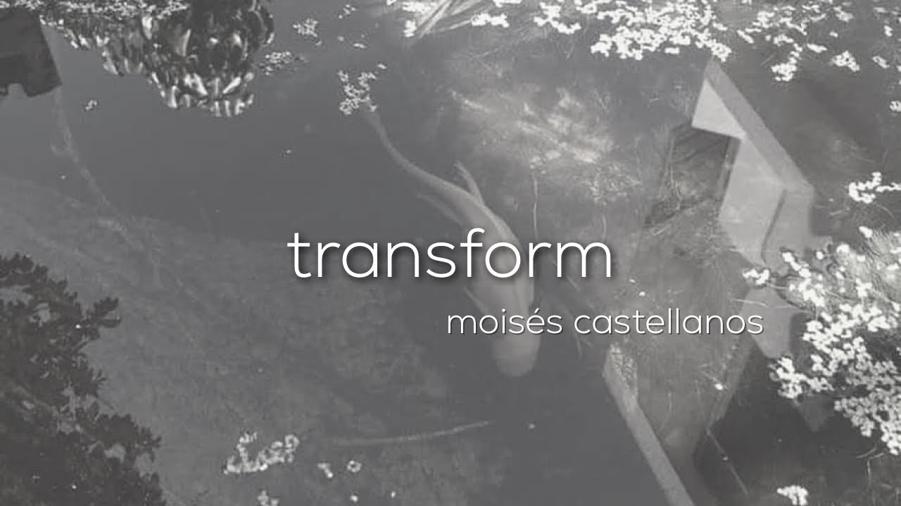 Daniel Caesar - Transform bass transcription - YouTube