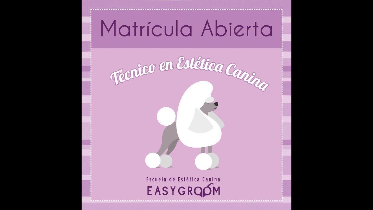 Video Curso de Grooming Matricula Abierta - Técnico Estética Canina ...