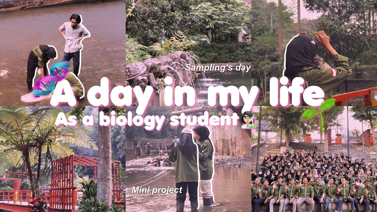 A day in my life as a Biology Student 🌱🧬| Aquatic ecology, mini project ...