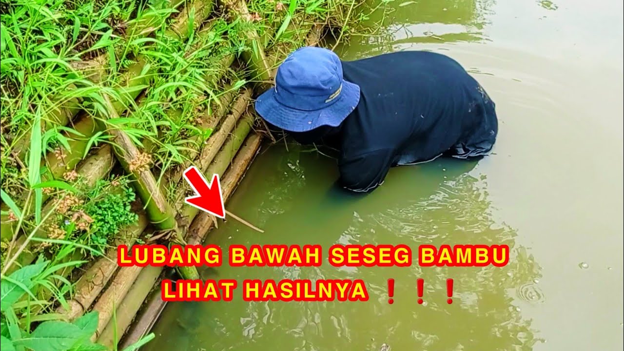 MANCING BELUT MONSTER ÐI LUBANG BAWAH SESEG BAMBU PENGHUNI EMPANG ...