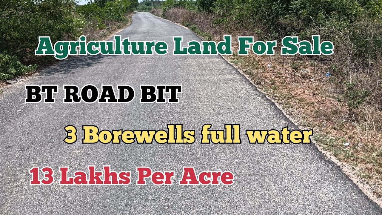 BT ROAD BIT 13: Lakhs Per Acre 3 Borewells full water - YouTube