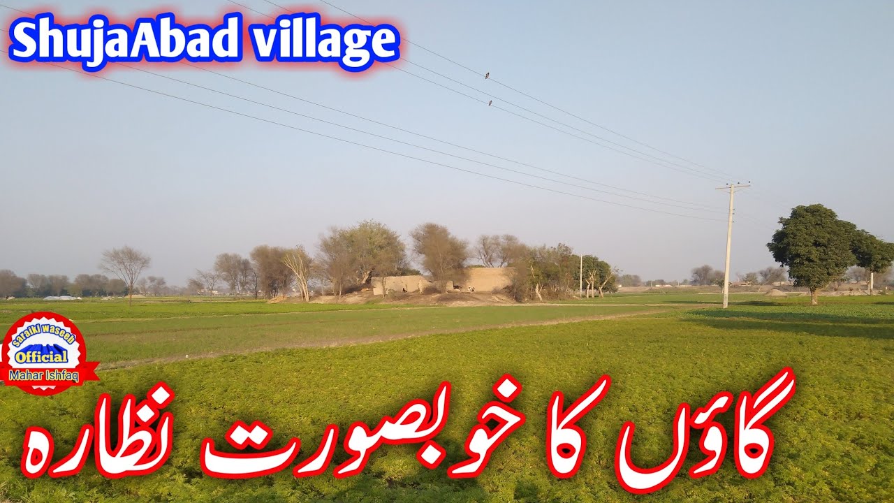 My Village Beautifull wether || Shujabaad Punjab Pakistan - YouTube