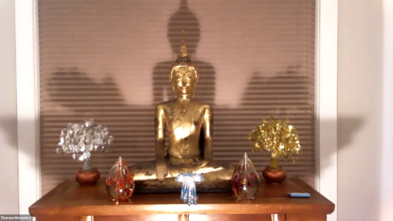 Ajahn Viradhammo Dhamma Zoom 12 Dec 2020 - YouTube