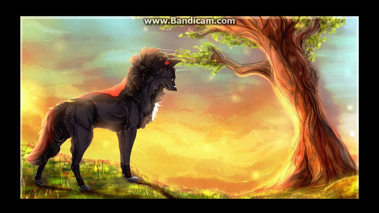 Anime Wolves ~ Circles (Dupstep Version) - YouTube