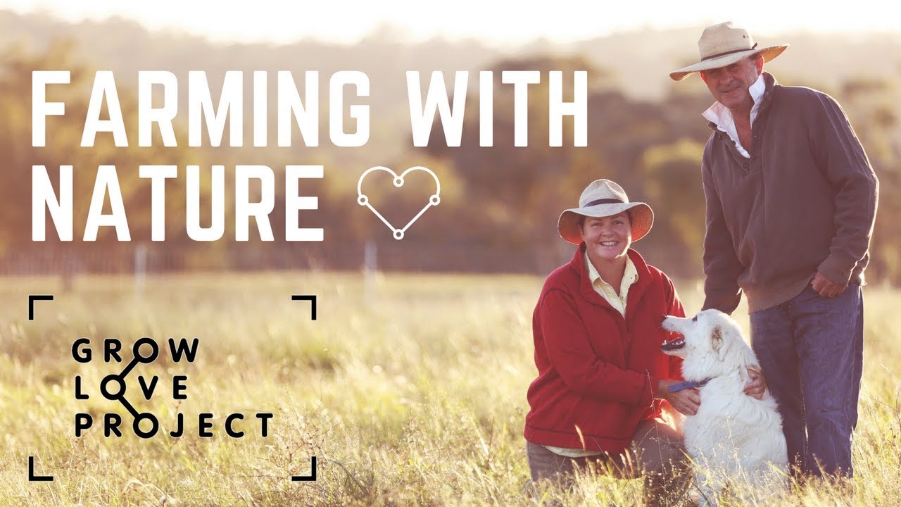 Holistic Regenerative Farming - YouTube