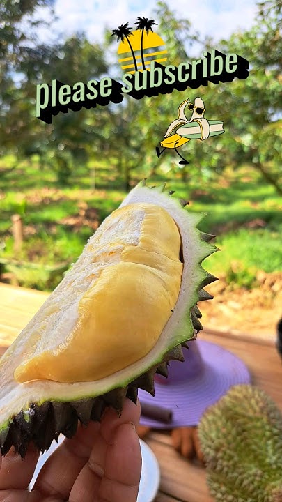 unboxing durian bawor, durian monthong, durian chanee ️please subscribe - YouTube