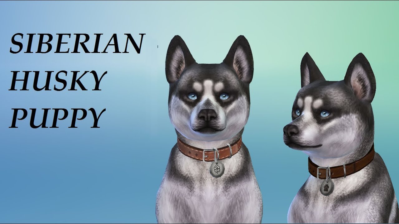 Sims 4 - Making of siberian husky puppy - YouTube