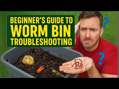 Beginner's Guide to Worm Bin Troubleshooting: Fix Common ...