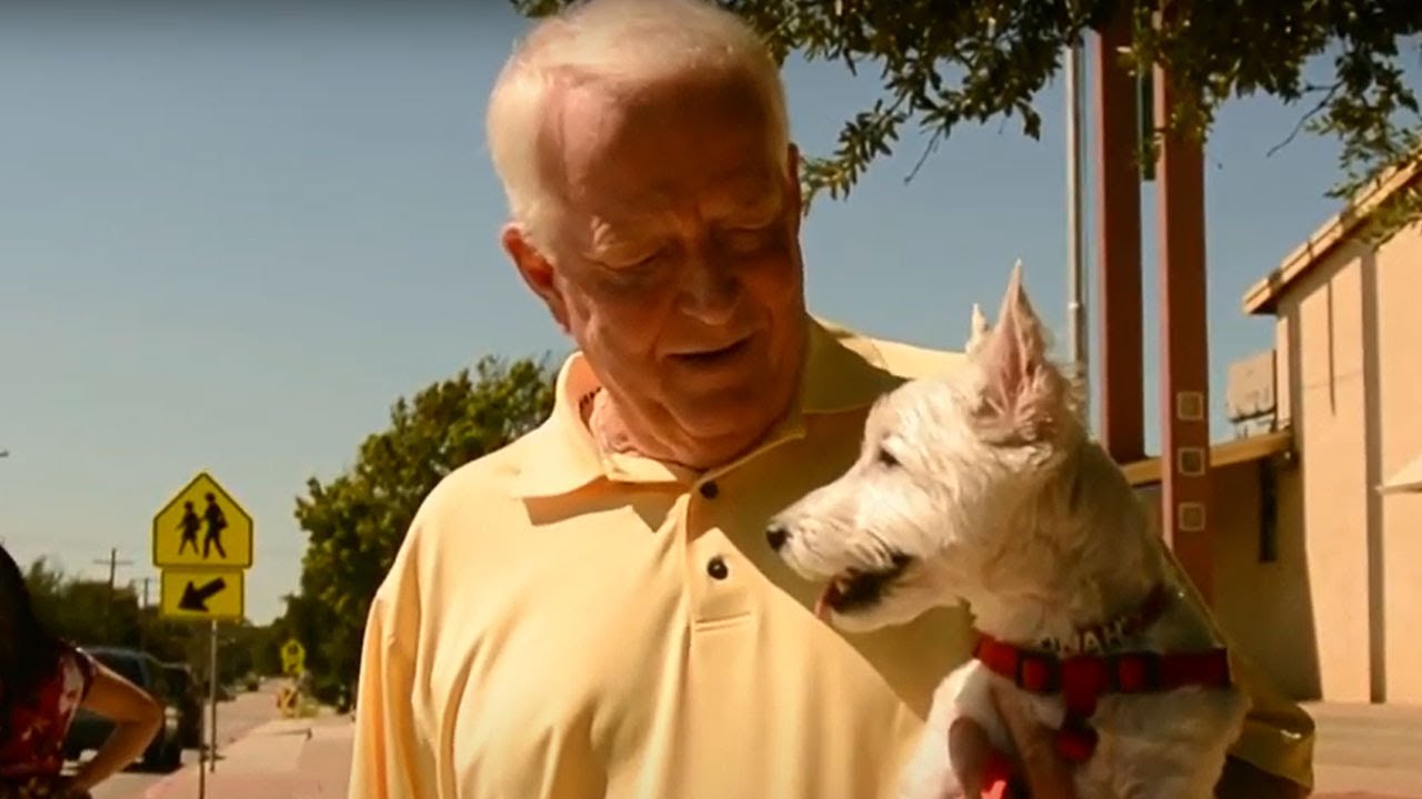 St. Andrew Blessing of the Animals - 2017 - YouTube
