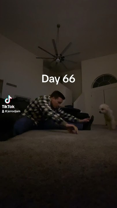 Day 66 - YouTube