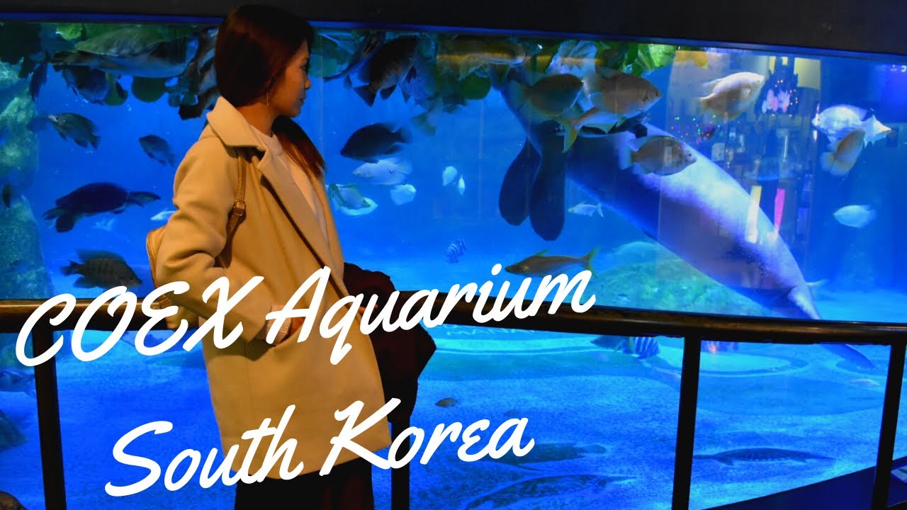 SOLO TRIP IN SEOUL | BONGEUNSA TEMPLE | COEX MALL | COEX AQUARIUM ...