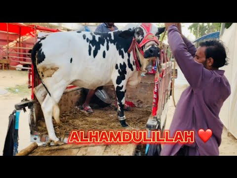 Alhamdulillah Most beautiful bachiya ka Soda hogaya🤩|Mandi loot Li😃 ...