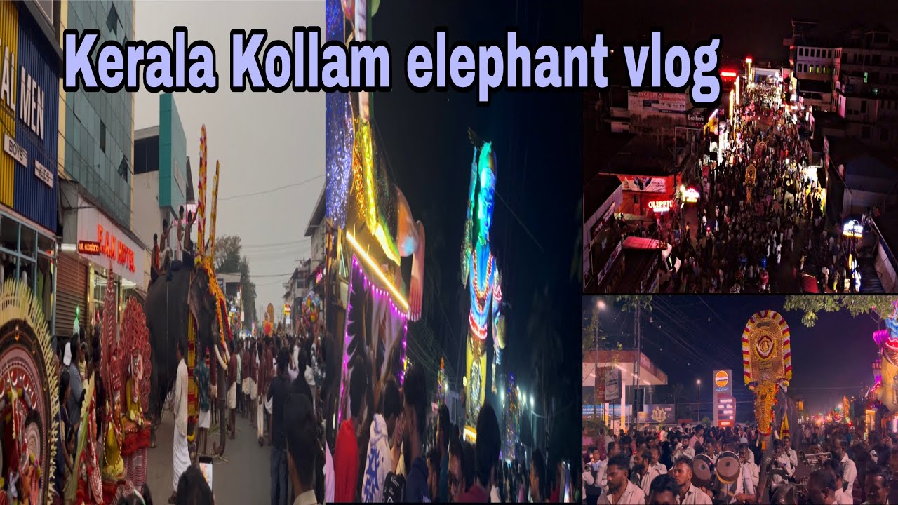 Kerala Kottiyam Kollam #festival video elephant 🐘 video #elephantlover# ...