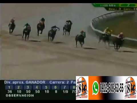 VALENCIA 2C 19V23 02/02/2019 - YouTube