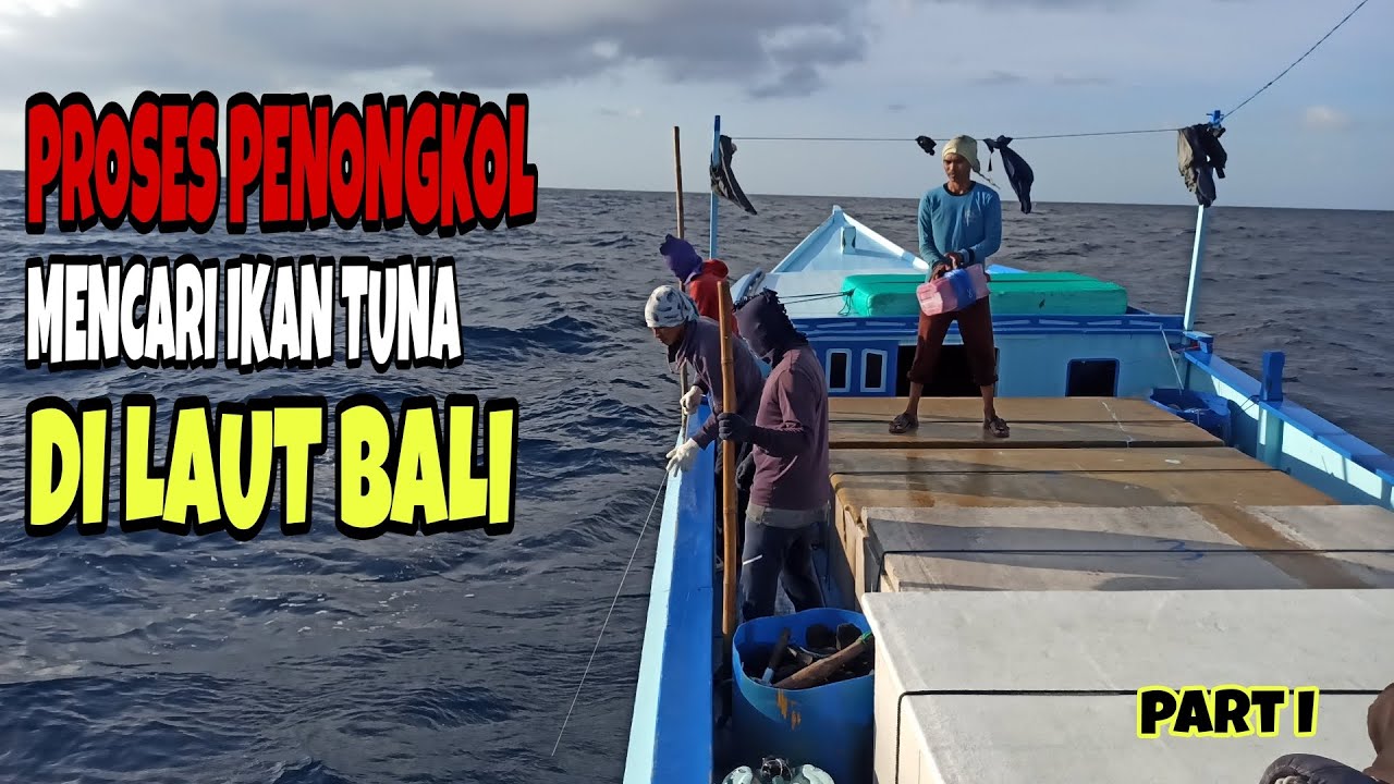 MENCARI IKAN TUNA DI LAUT BALI - YouTube