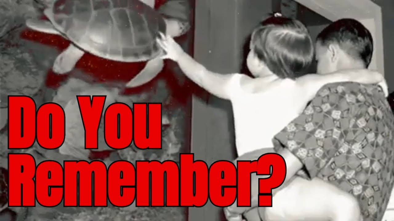 What is Singapore's First Public Aquarium? | 新加坡第一家公共水族馆 - YouTube