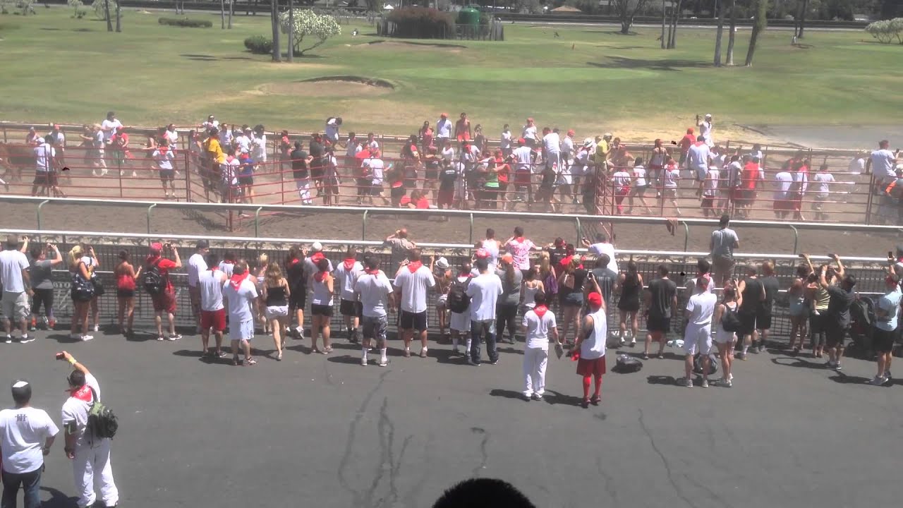The Great Bull Run Alameda Pleasanton CA - YouTube