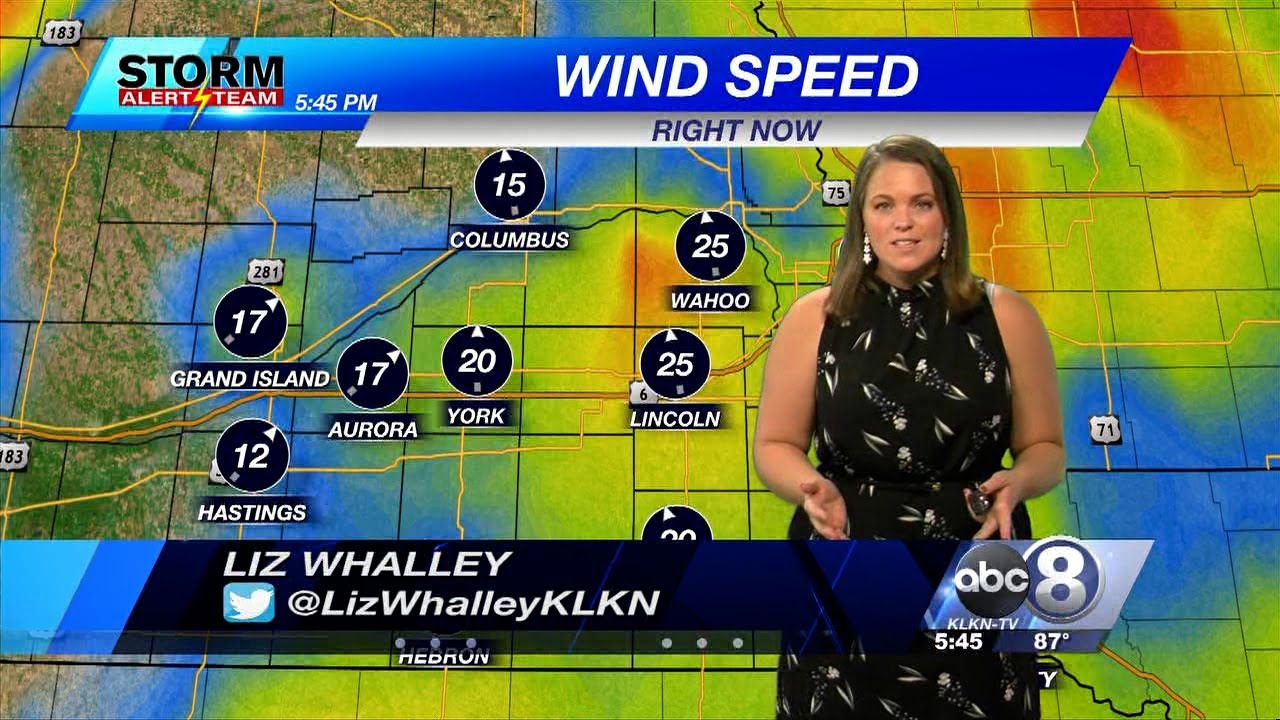 Meteorologist Liz Whalley Resume 2020 - YouTube