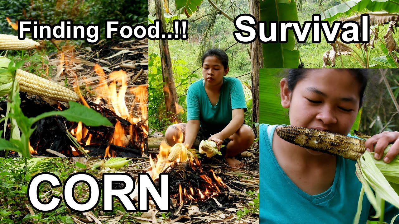 Survival skills find Corn for food burn Corn and Eating delicious - YouTube