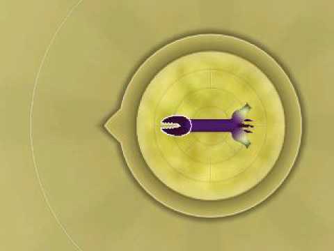 spore secret cell editor - YouTube