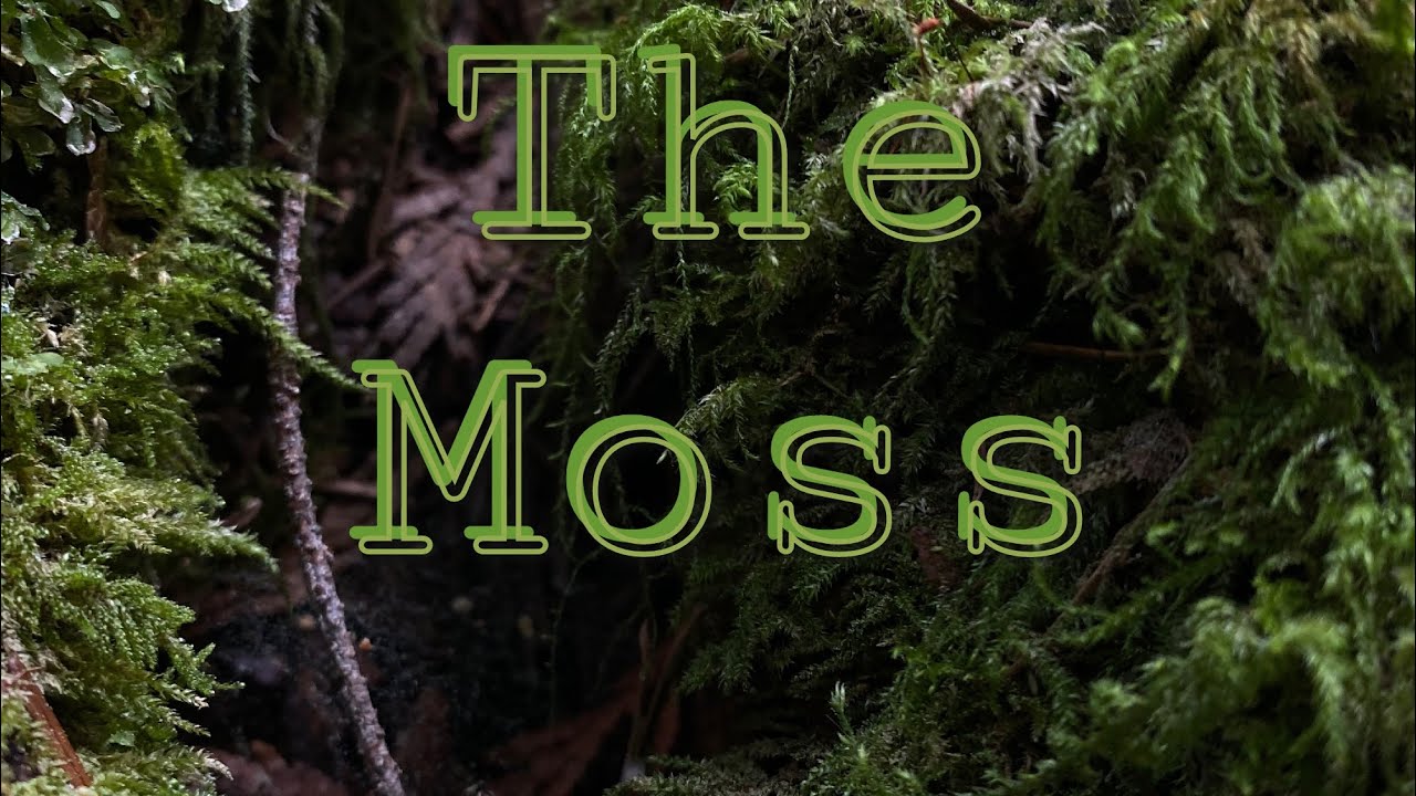 The Moss Music Video (Fanmade) - YouTube
