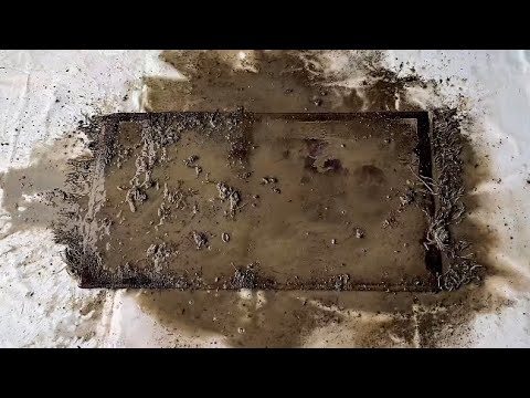 Dirtiest rugs Ive ever washed, So much mud comes out | carpet cleaning ...