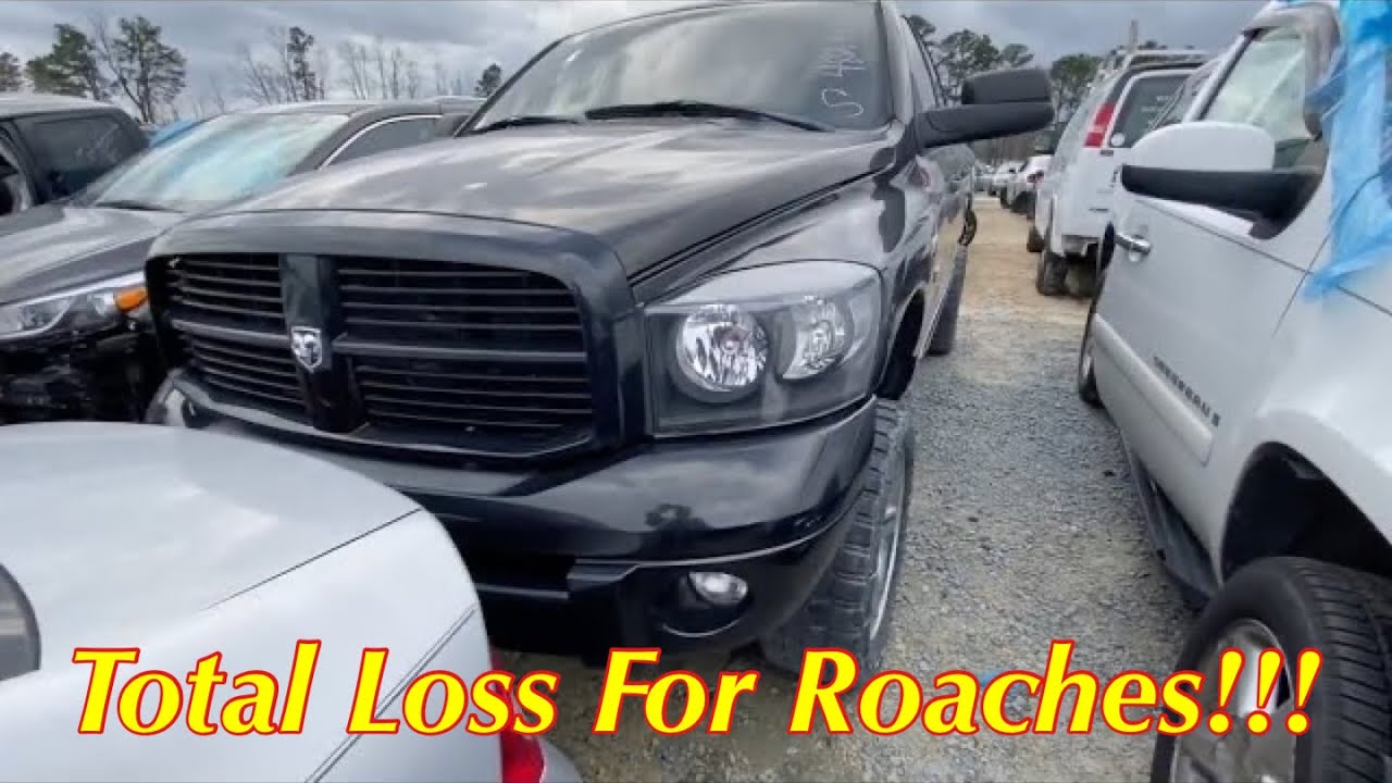 Total Loss For Roaches? Yuck! So Many Trucks Copart Walk Around - YouTube