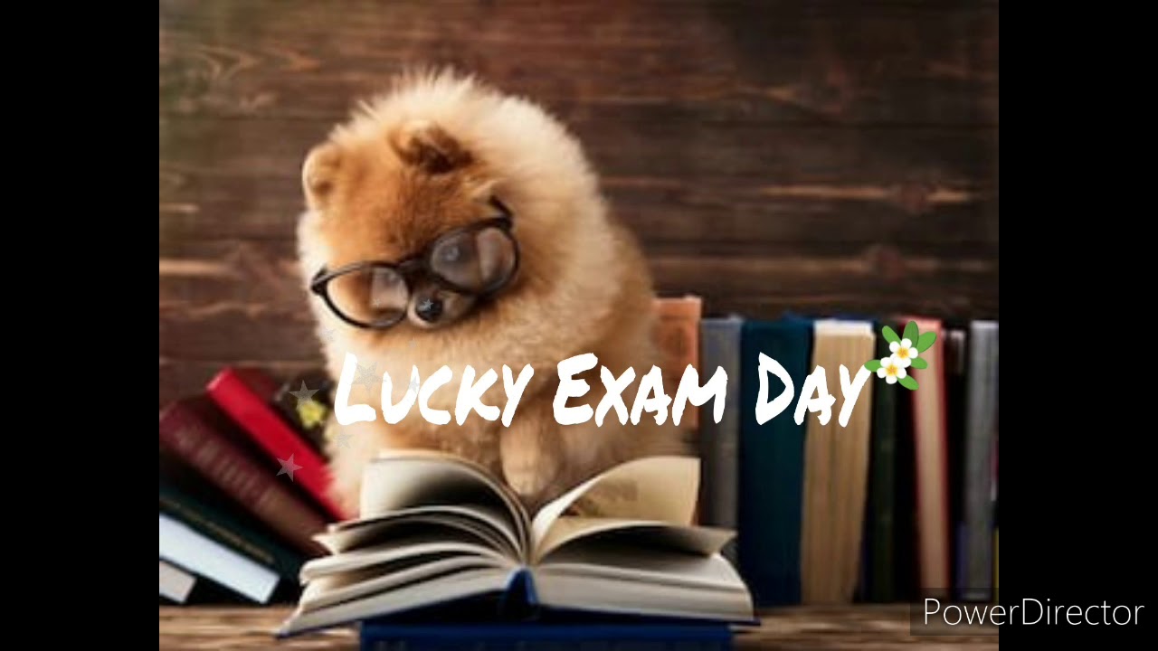 Pass Your Exam Subliminal - YouTube